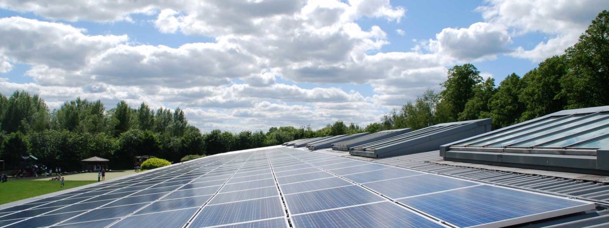 About the Project - Project LEO