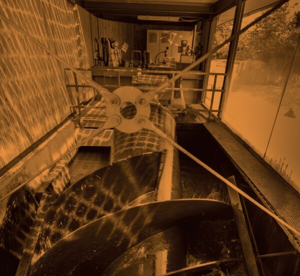 Summarising the key findings from Project LEO - Project LEO